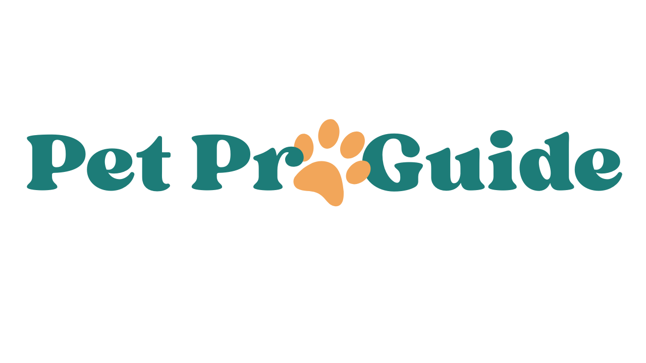 Large Breed Dog Nutrition 101: What Every Owner Should Know